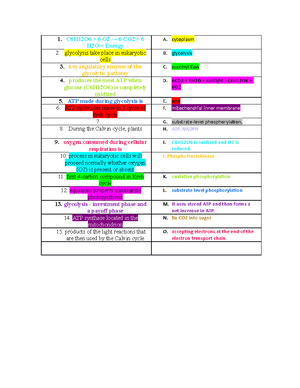Chapter 5 study guide updated 8-25-23 - Chapter 5 Study Guide Chapter 5 ...