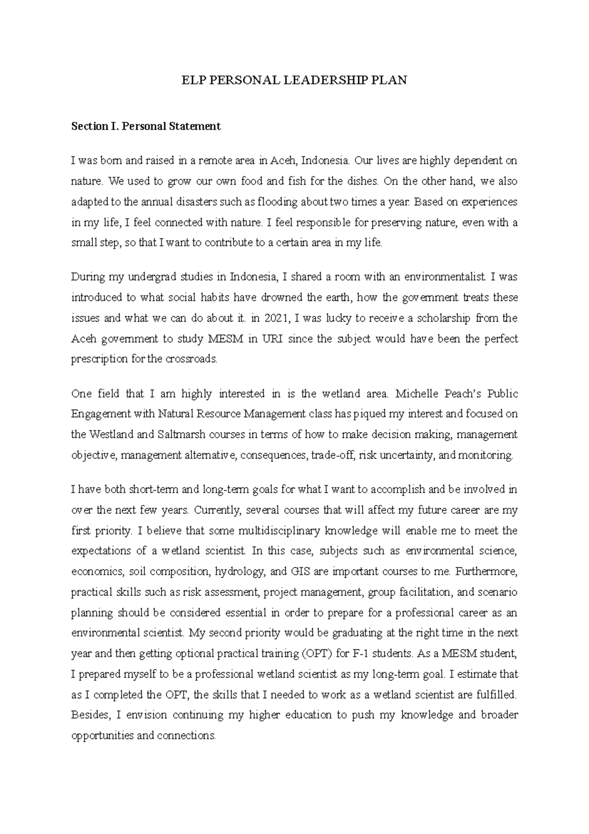 PLP - Personal Leadership Plan - ELP PERSONAL LEADERSHIP PLAN Section I ...