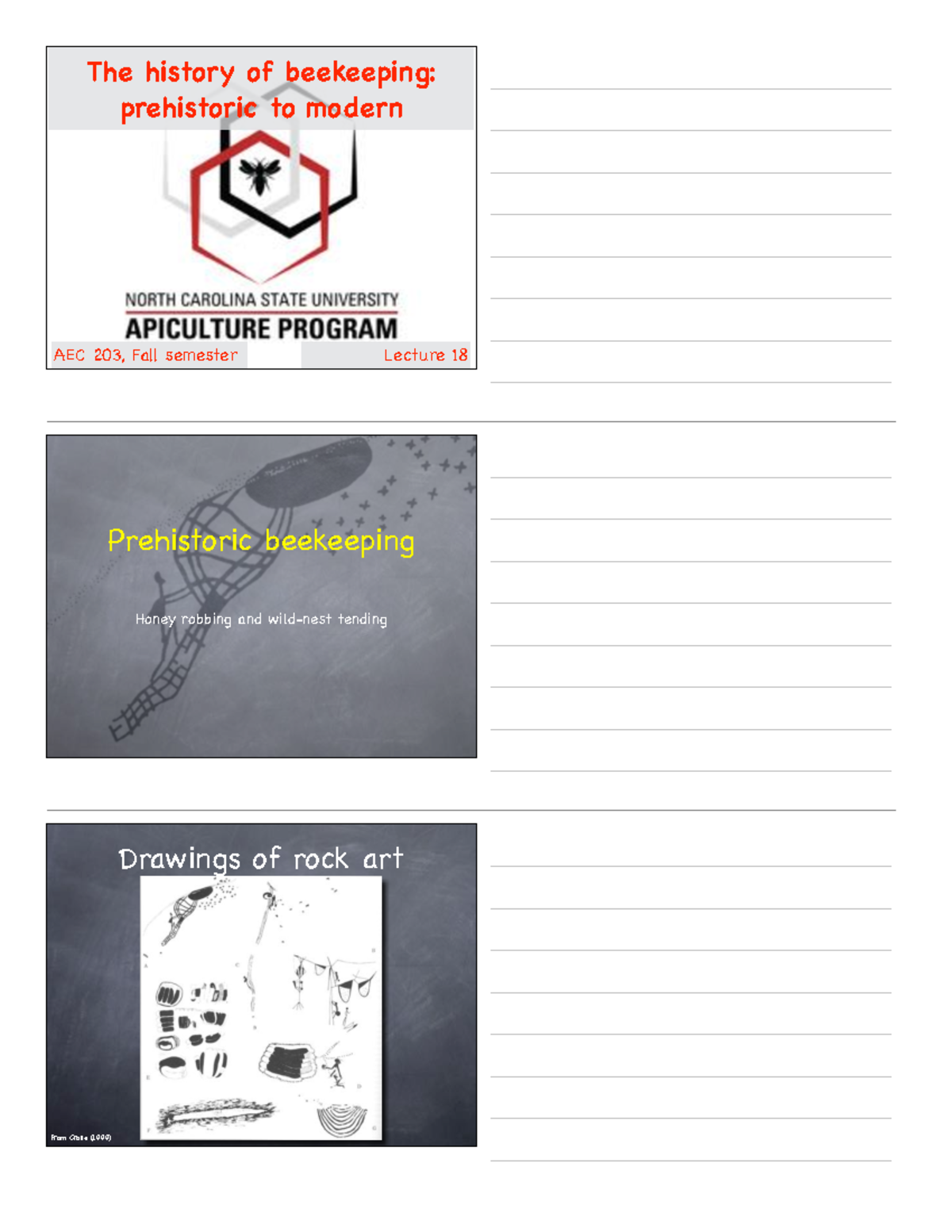 Lecture 18-History Of Beekeeping - The history of beekeeping ...