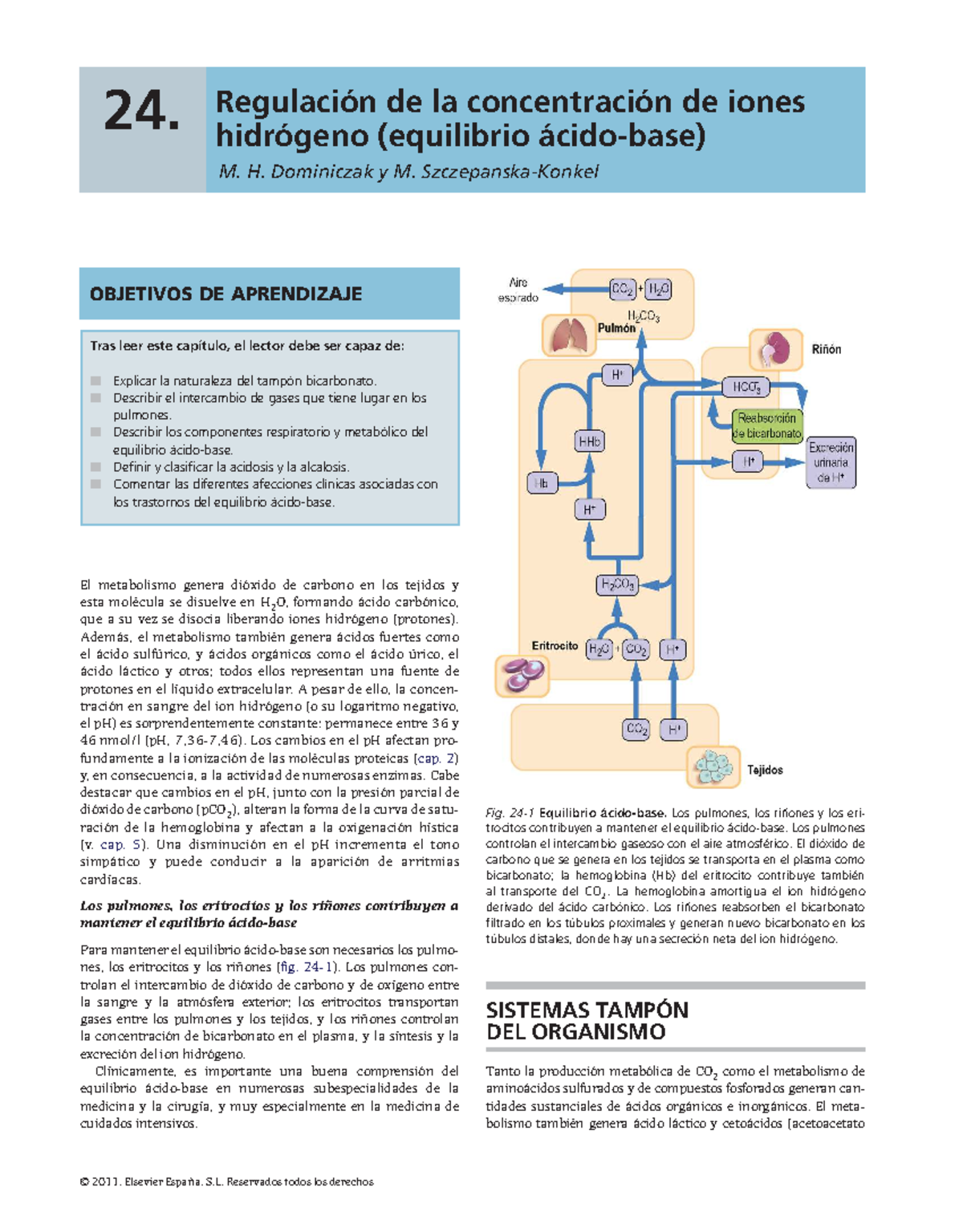 Bioquímica Medica. Baynes. 3° edición. Capítulo 24, pag 325 – 335 - © 2011. Elsevier España, S ...