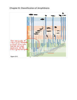 Vert Bio Syllabus 2022 - VERTEBRATE BIOLOGY (Biol 456) Fall 2022 Course ...