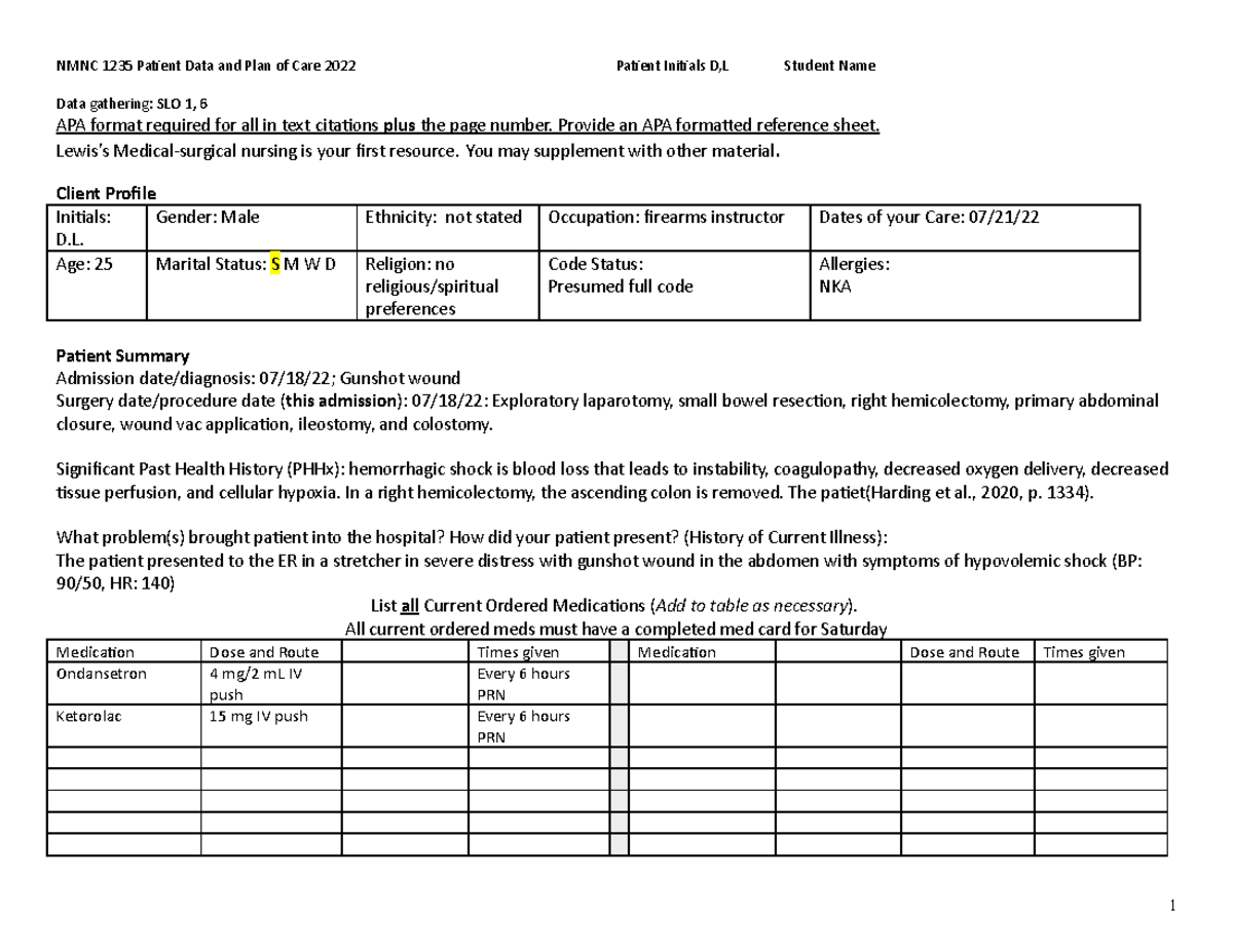 Copdcareplan Day 2 - care plan - Data gathering: SLO 1, 6 APA format ...