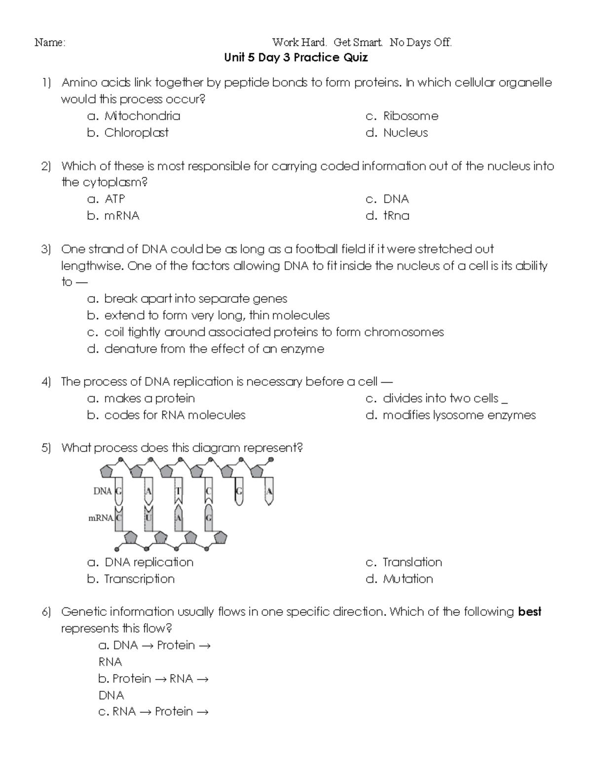 Practice quiz-Unit 3-DNA structure function - Name: Work Hard. Get ...