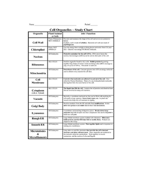 Cell Biology Exam 1 Review - Cell Biology Exam 1 Review. Below is a ...