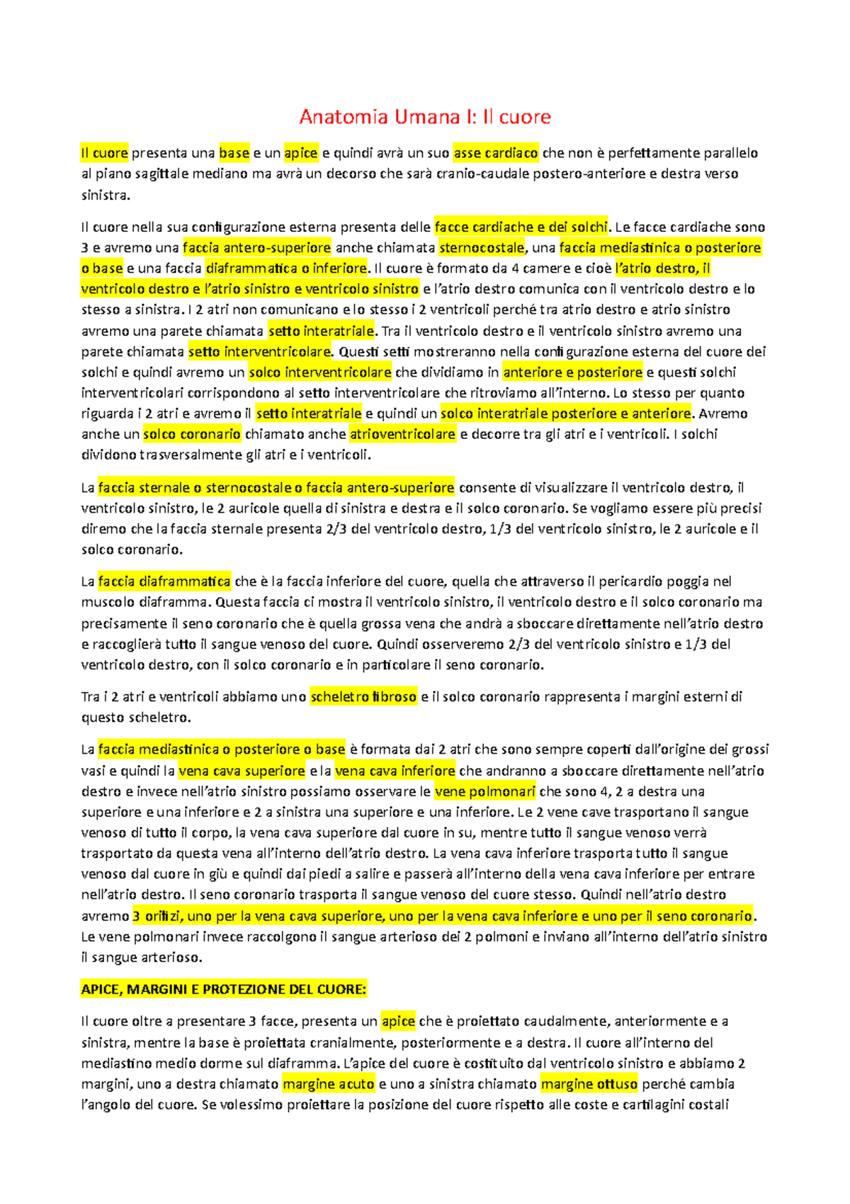 Cuore - Anatomia Umana I: Il cuore Il cuore presenta una base e un ...