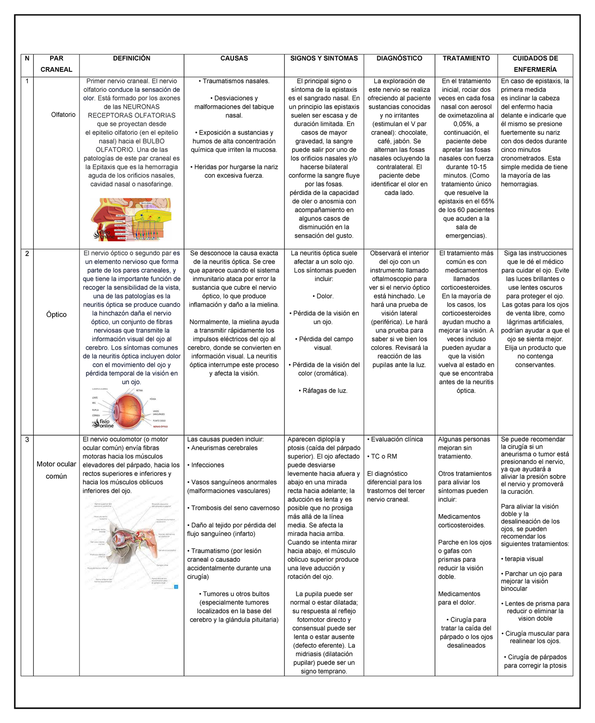 Annotated-par craneal 12%5B1%5D - N PAR CRANEAL DEFINICI”N CAUSAS ...