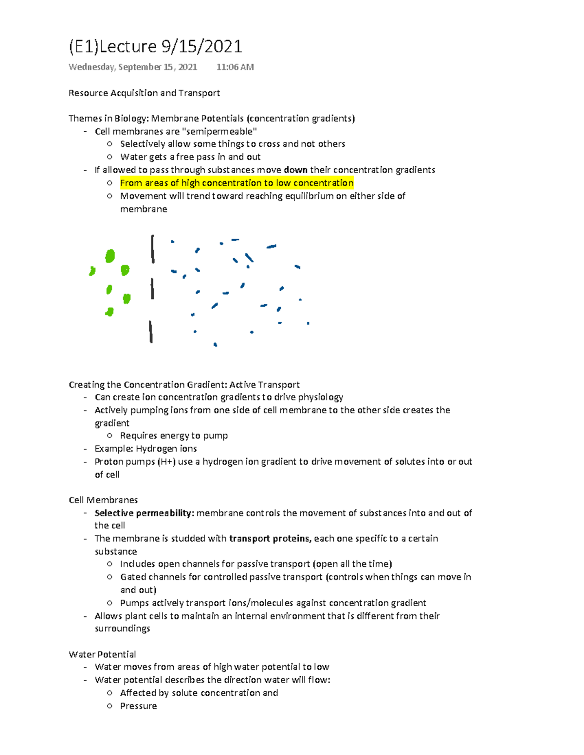 Bio 106 lecture 9 - Resource Acquisition and Transport Themes in ...