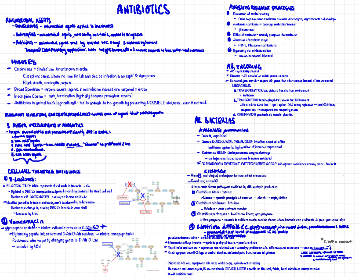 Antibiotics Notes - Summary/exam review of the lecture - Empiric use ...