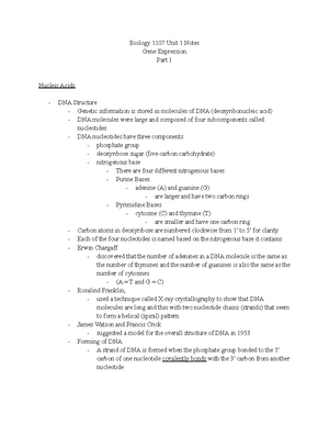 Transcription Pogil - Gene Expression—Transcription 1 Gene Expression ...