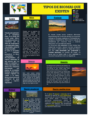 El Sol - Descripción general del sol y datos importantes del sol - El ...