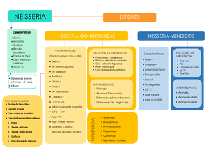 Tomografía de Craneo, TC DE CRANEO - 2023 Estudiantes: Janeth Lucas ...