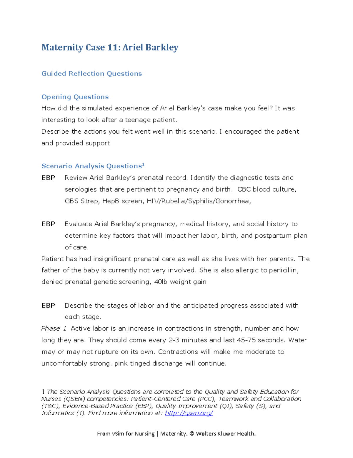 Vsim2 Maternity Vsim With Questions Maternity Case 11 Ariel Barkley Guided Reflection
