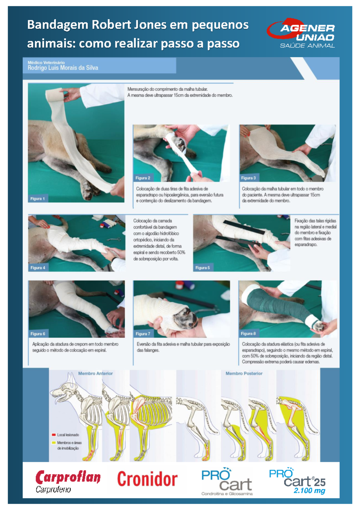 Bandagem Robert Jones 240830 121301 - Medicina Veterinária - Bandagem ...