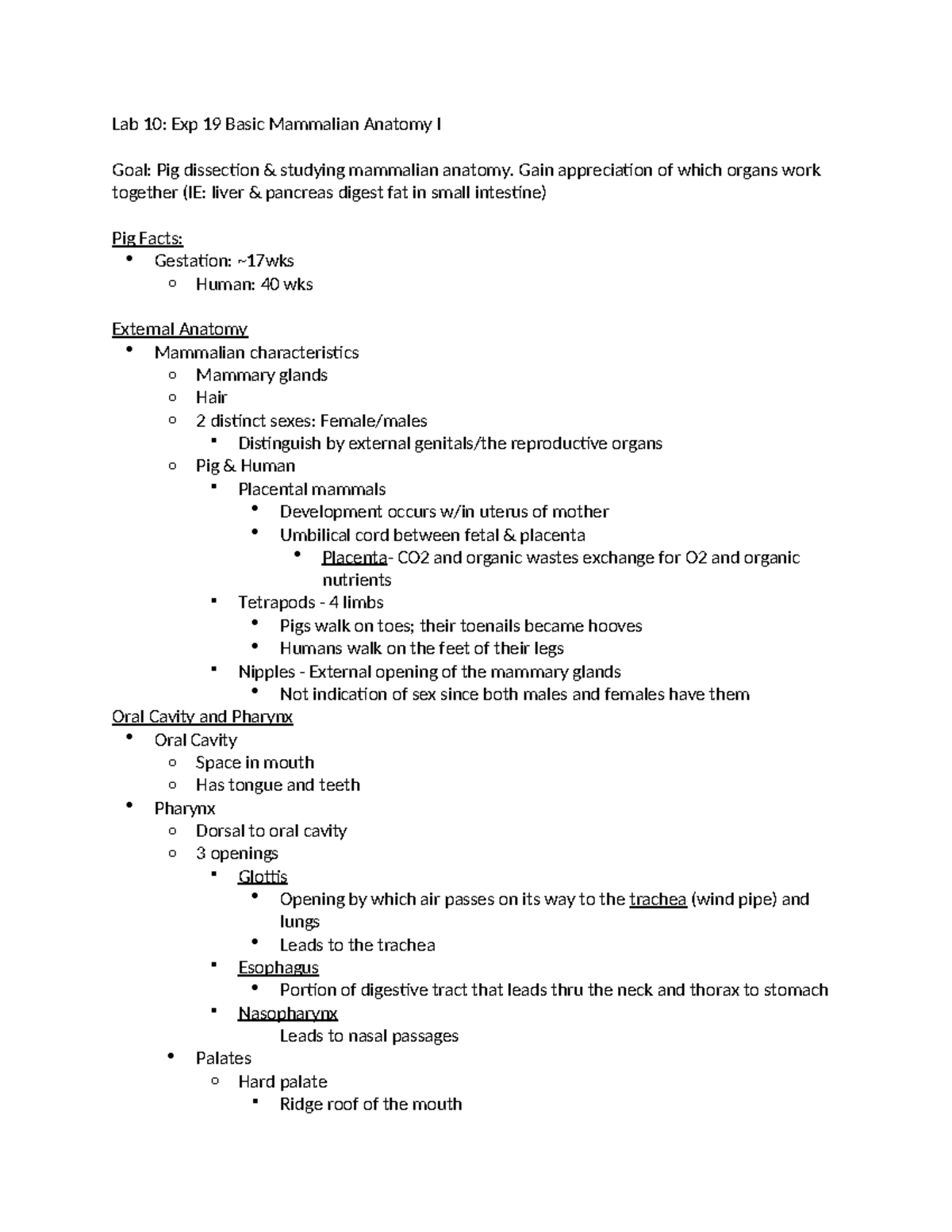 Lab 10 - Basic Mammalian Anatomy I notes - Lab 10: Exp 19 Basic ...