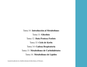 Tema 5 Carbohidratos guía Julio - LOS CARBOHIDRATOS O SACÁRIDOS: Son la ...