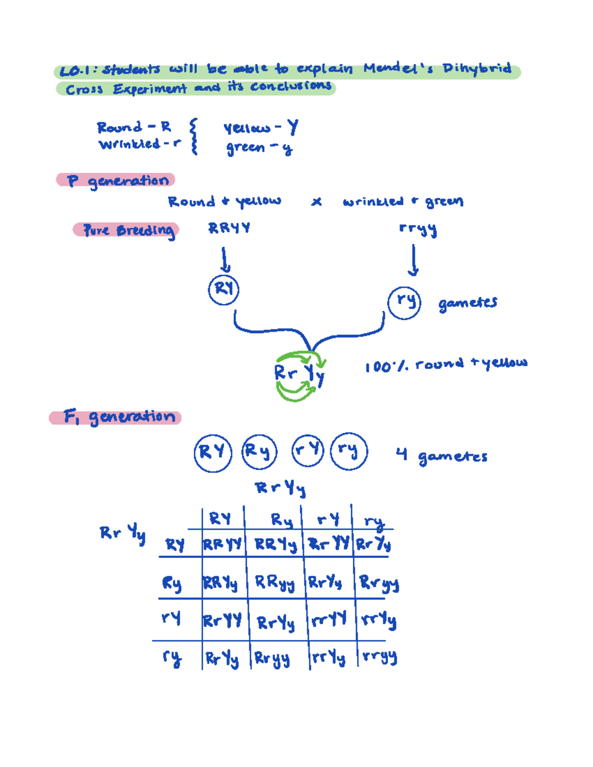 2.4 lecture notes - LO: students will be able to explain Dihybrid Cross ...