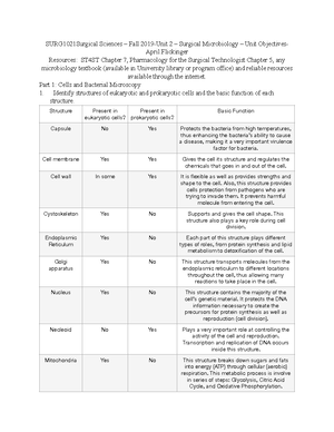Surgical Case Management: Preoperative Intraoperative and Postoperative ...