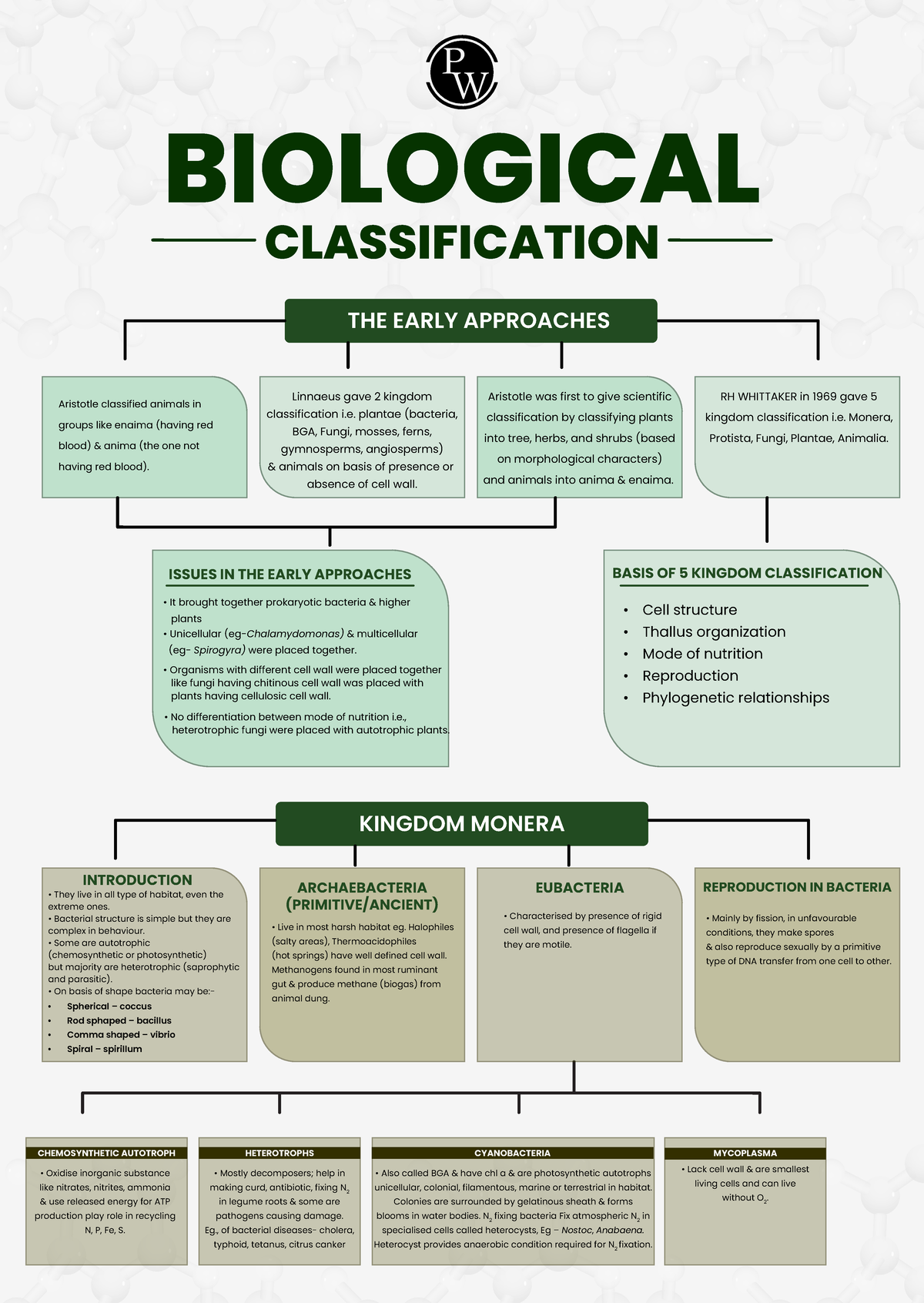 4 Biological Classification mind maps - BIOLOGICAL CLASSIFICATION THE EARLY APPROACHES KINGDOM ...