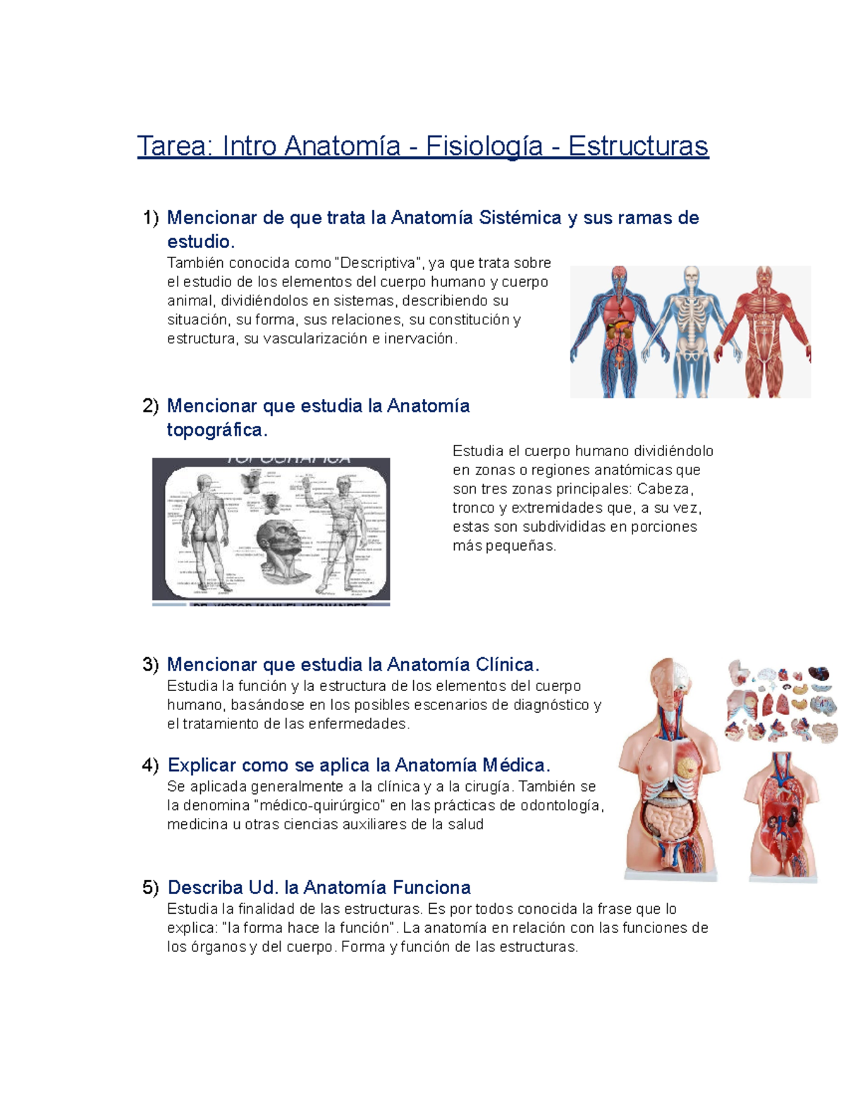 Cuerpo H Semana 1 - tarea dde actividad - Tarea: Intro Anatomía ...