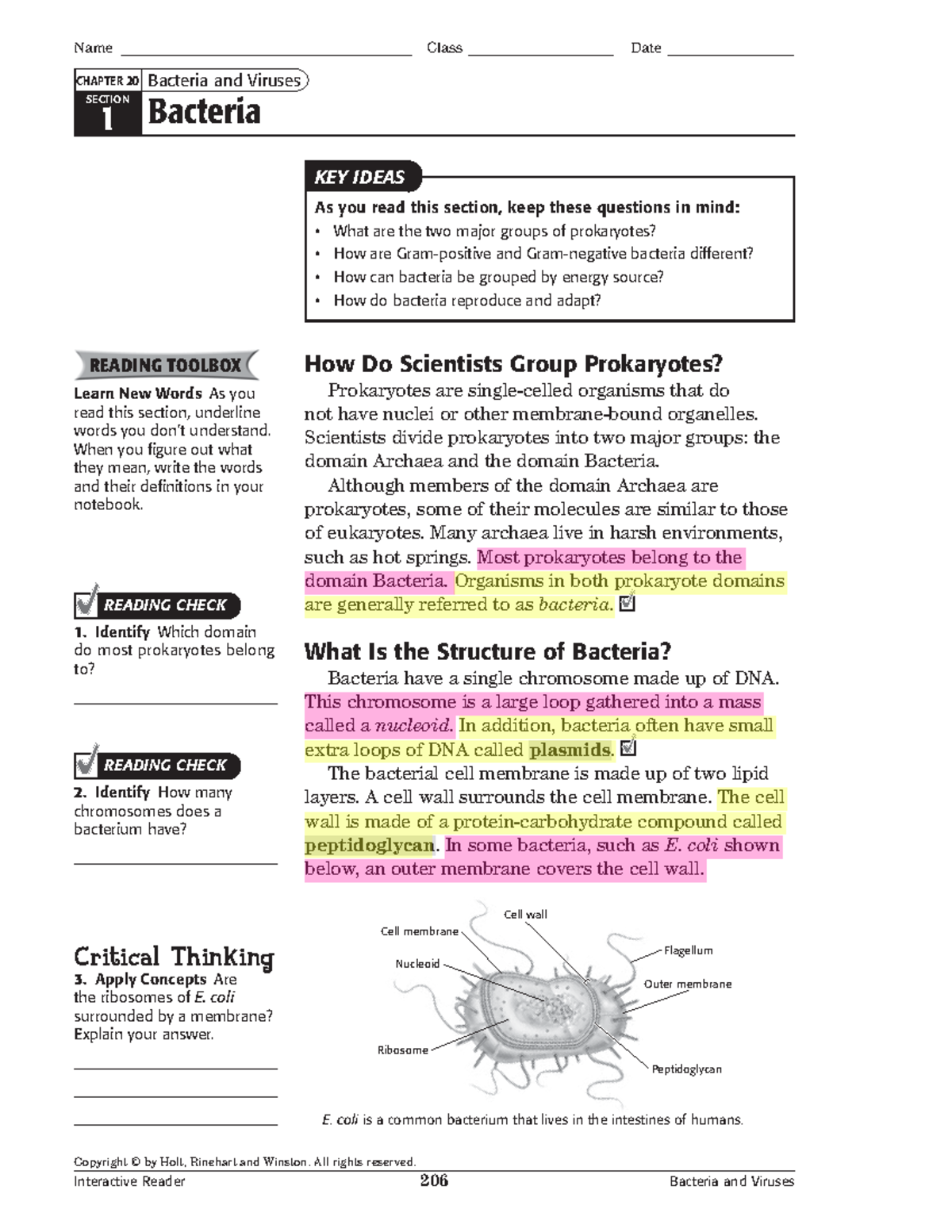Kami Export - Bacteria & Viruses (1) - SECTION 1 Bacteria CHAPTER 20 ...