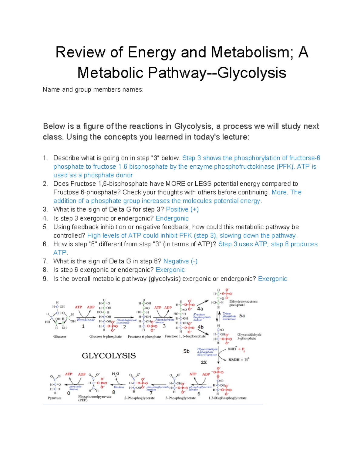 Metabolism Activity - Review of Energy and Metabolism; A Metabolic ...