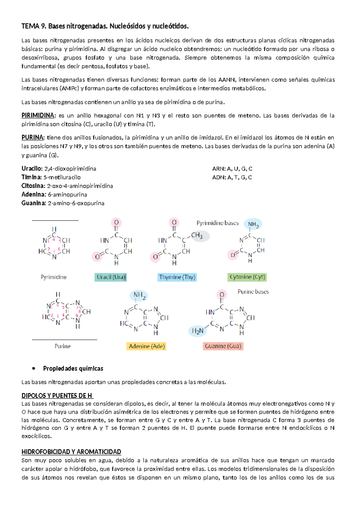 TEMA 9. Bases nitrogenadas - TEMA 9. Bases nitrogenadas. Nucleósidos y nucleótidos. Las bases ...