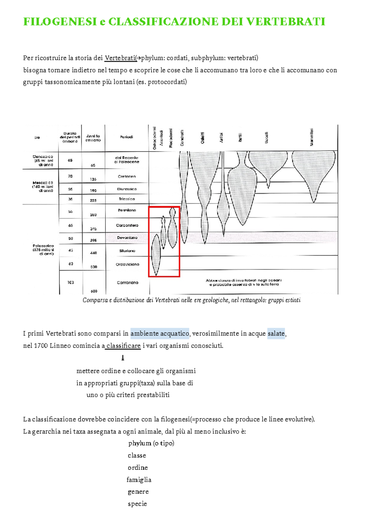 3. Filogenesi e Classificazione DEI Vertebrati - FILOGENESI e ...