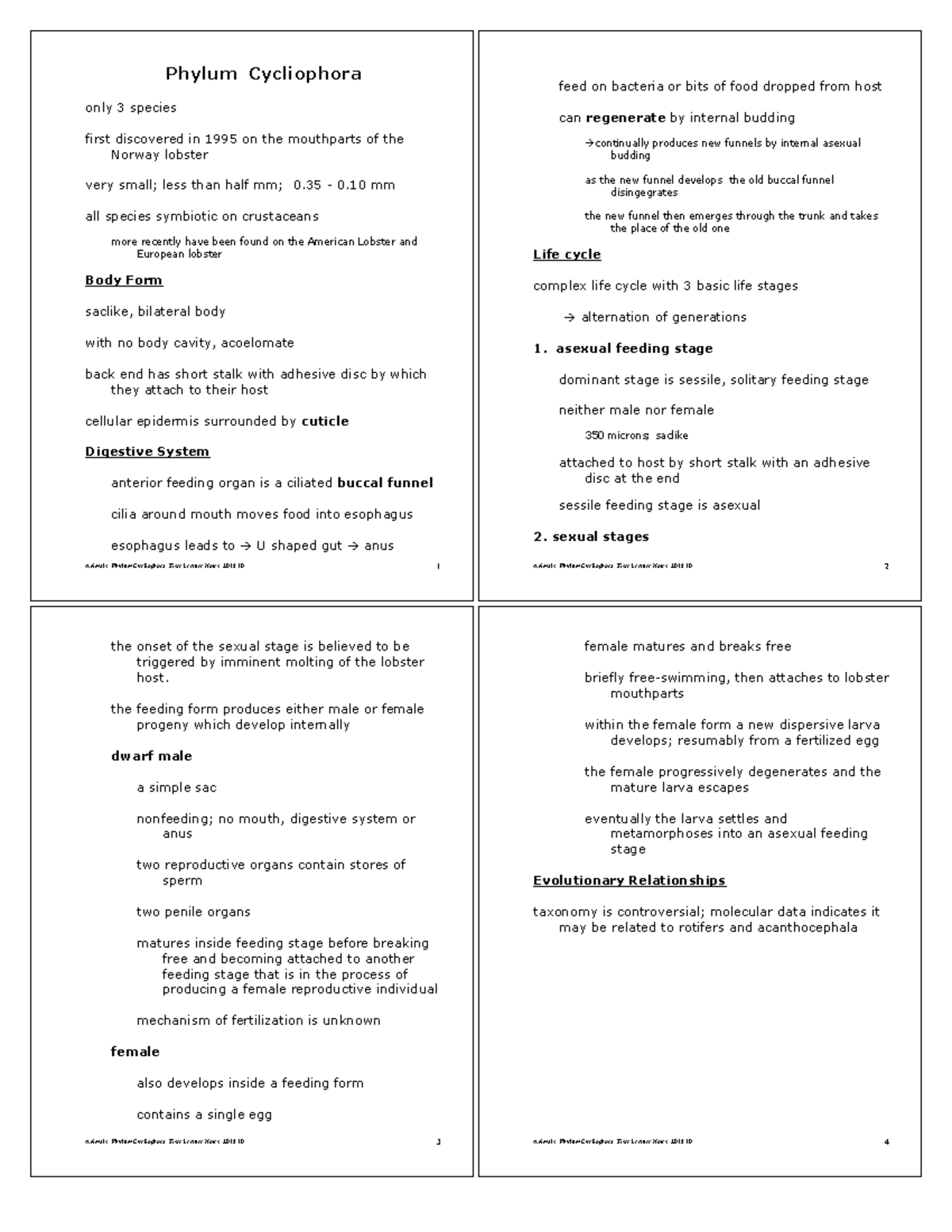 Phylum Cycliophora - Outline Summary - Animals: Phylum Cycliophora ...