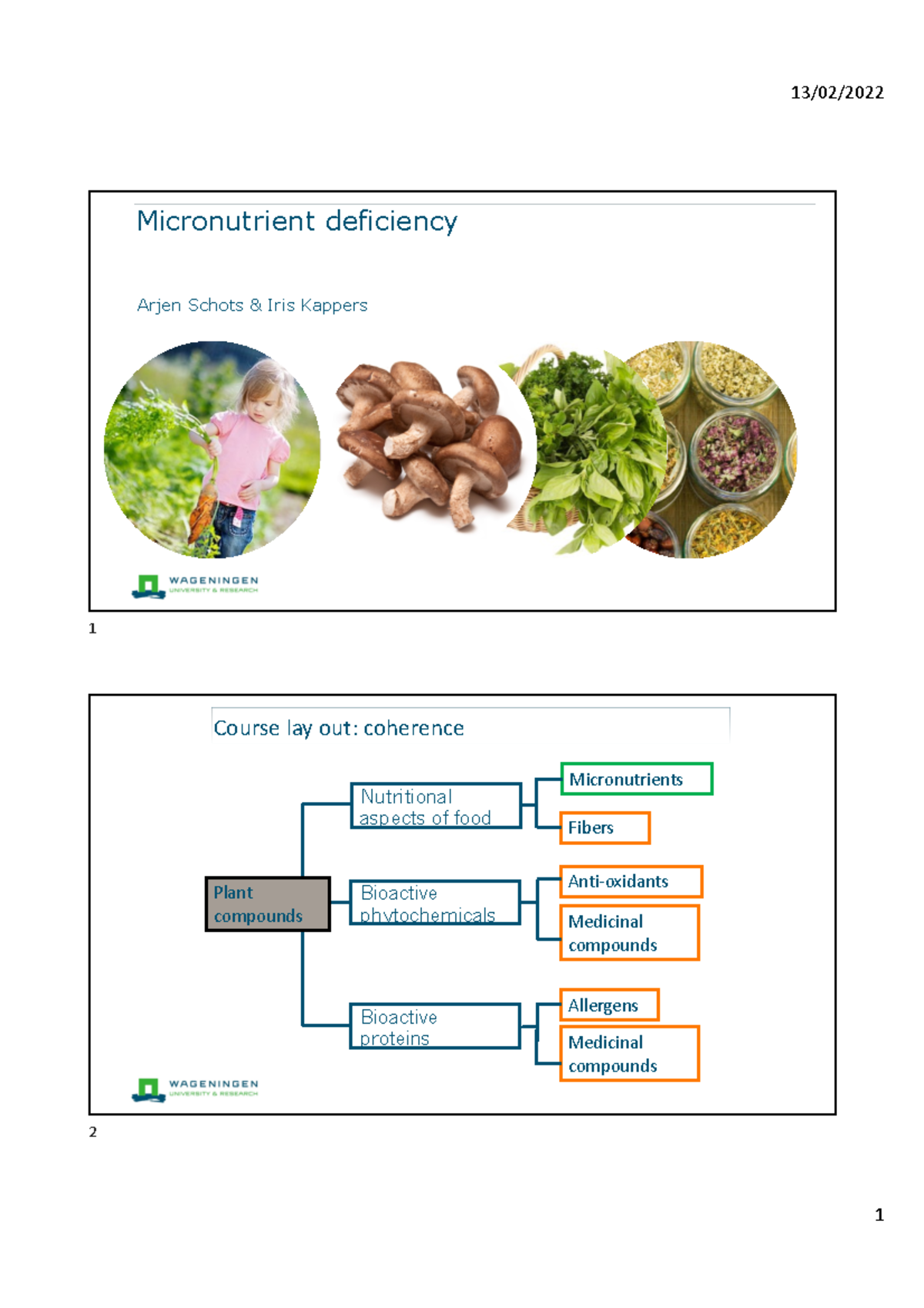 L1-2 Micronutrients, Dietary fiber - 13/02/ Micronutrient deficiency ...
