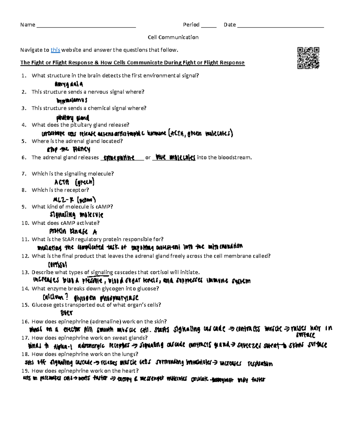 Cell+Communication+Webquest+23-24 - Name ...