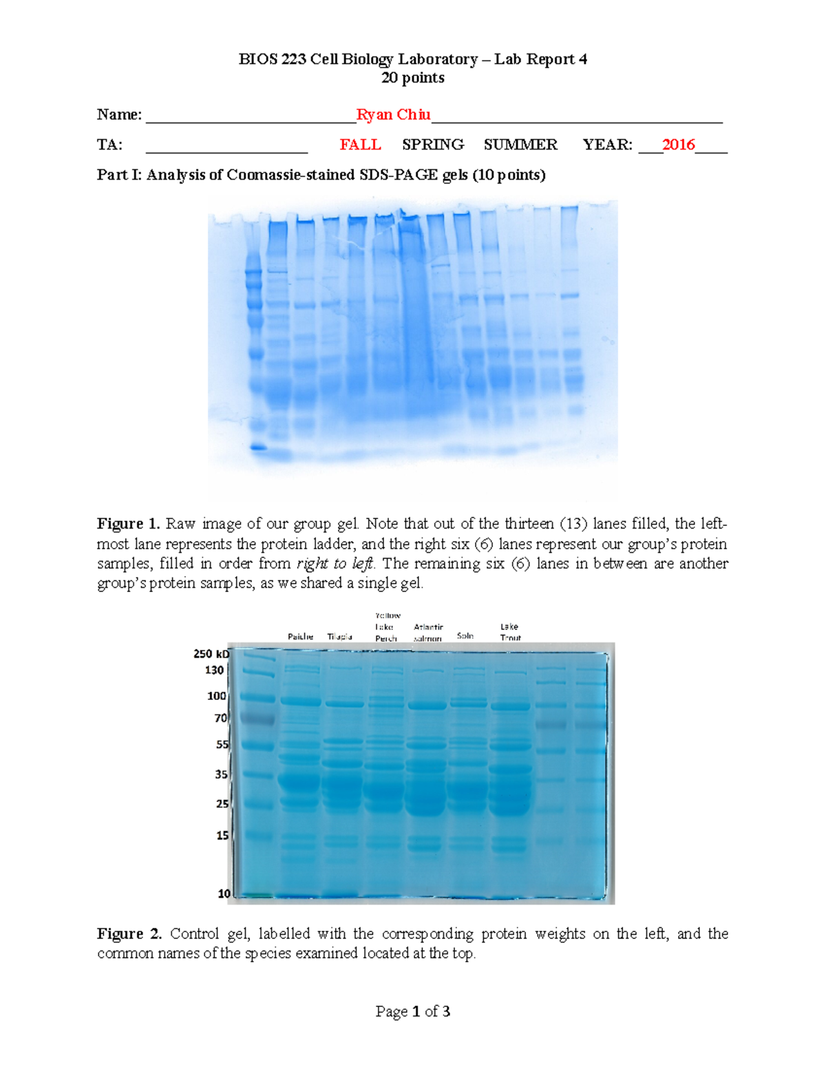 Lab Report - Fish Proteomics 2 - BIOS 223 Cell Biology Laboratory – Lab ...