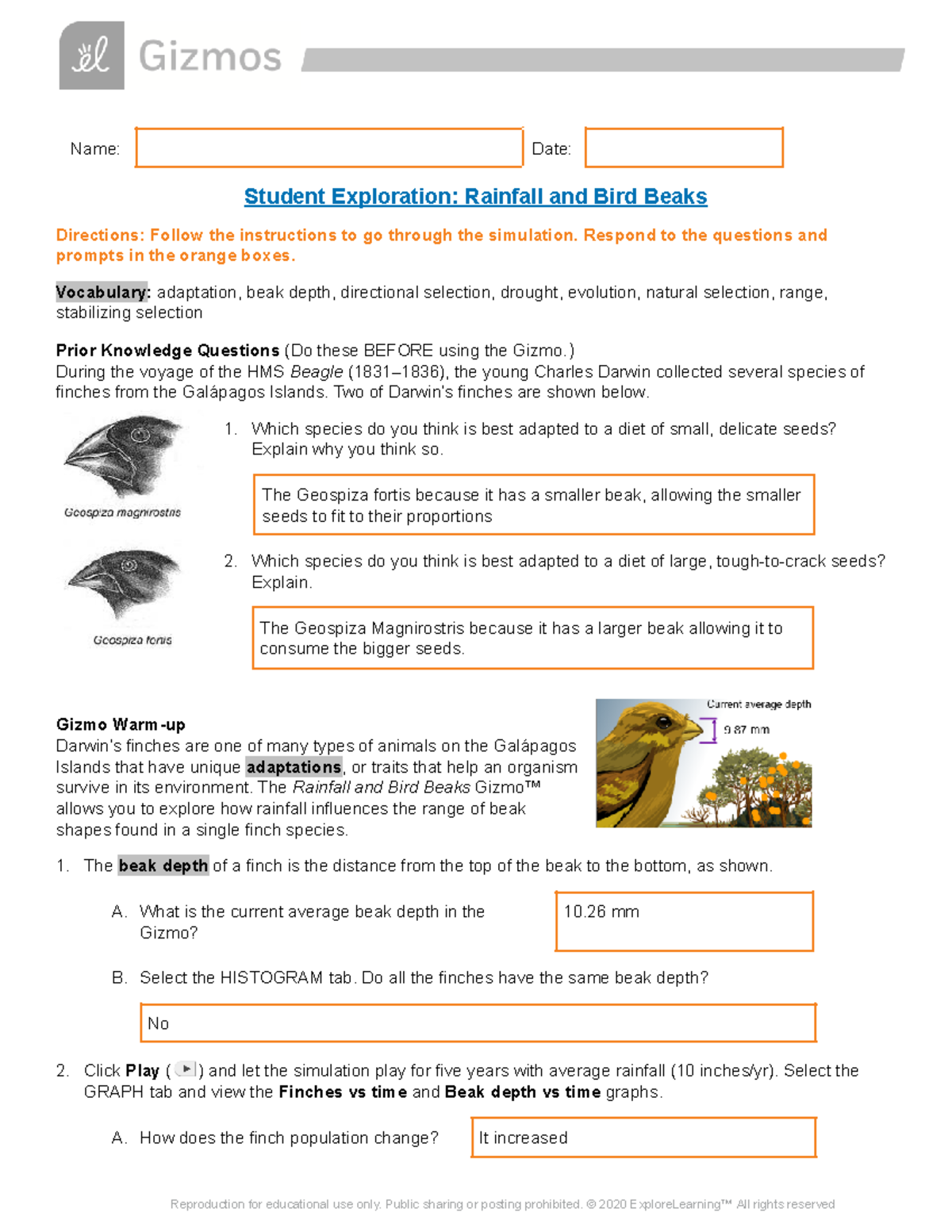 - Gizmo - Rainfall and Bird Beaks - 7219508 - Name: Date: Student ...