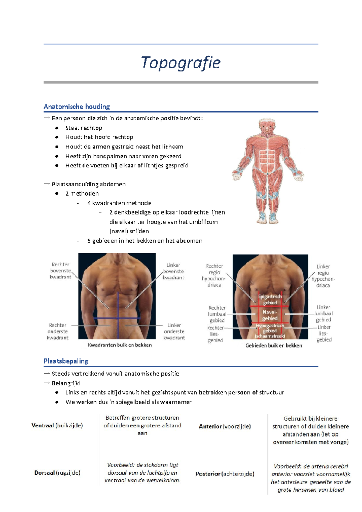 Topografie - anatomie - Topografie Anatomische houding → Een persoon ...