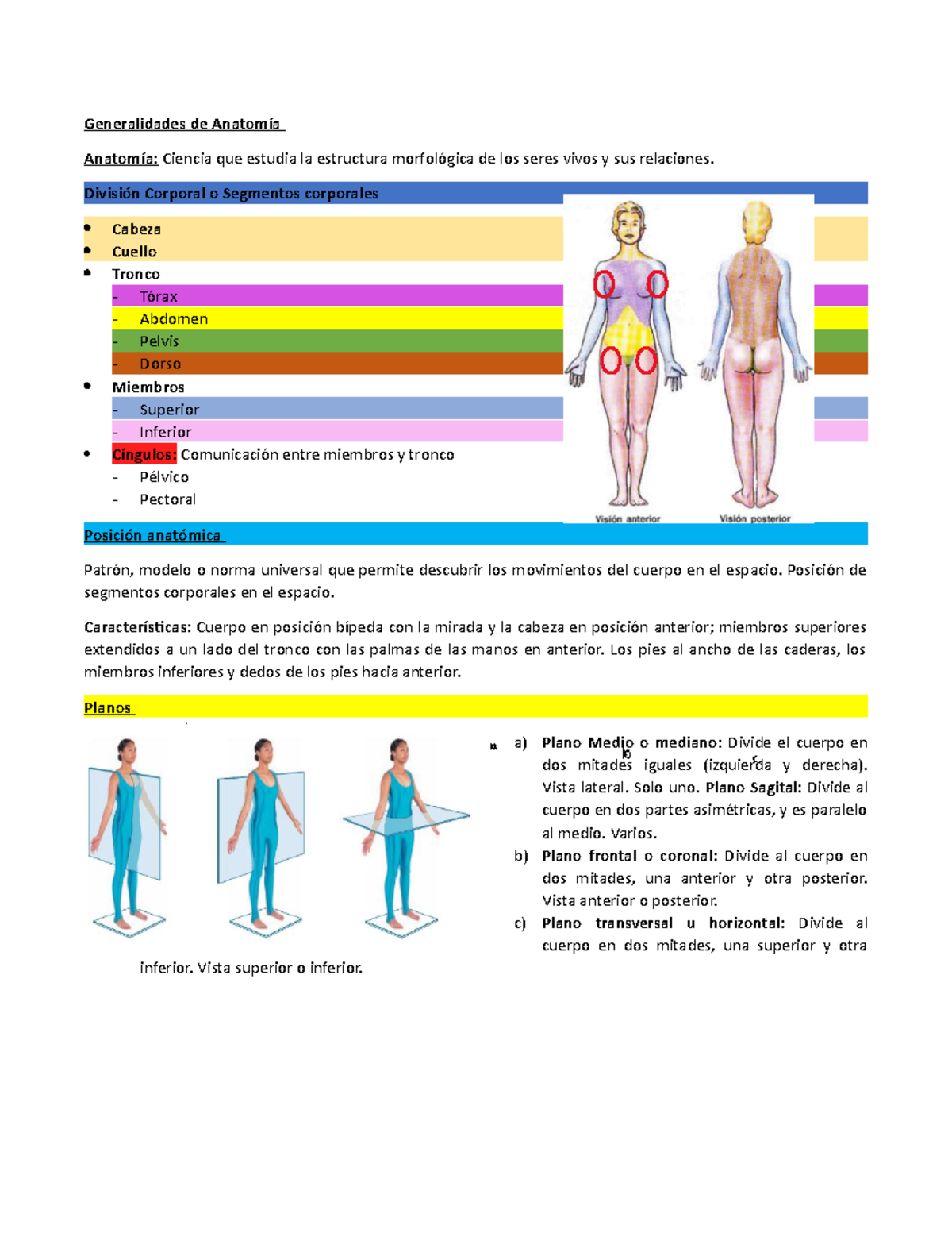 Resumen Generalidades de anatomia SEM 1 - Generalidades de Anatomía ...