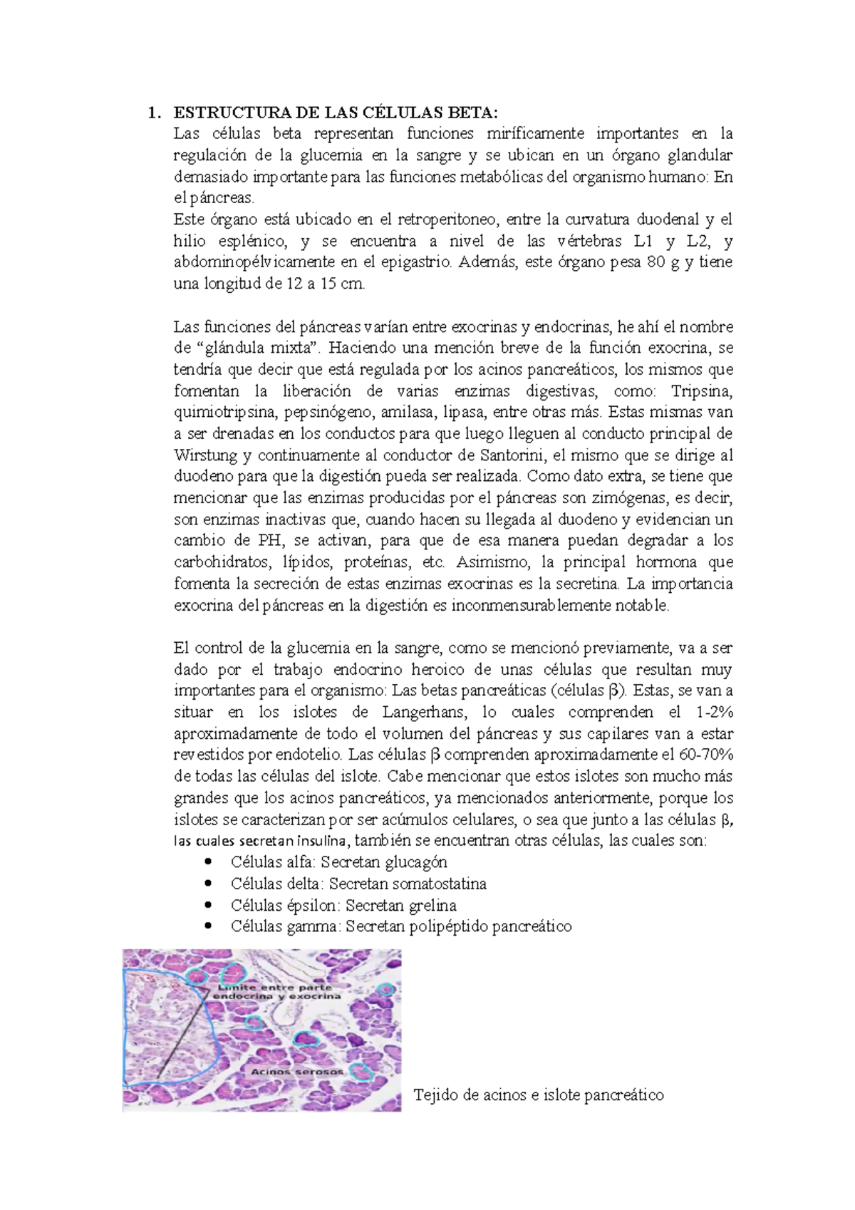 Estructura DE LAS Células BETA - 1. ESTRUCTURA DE LAS CÉLULAS BETA: Las ...