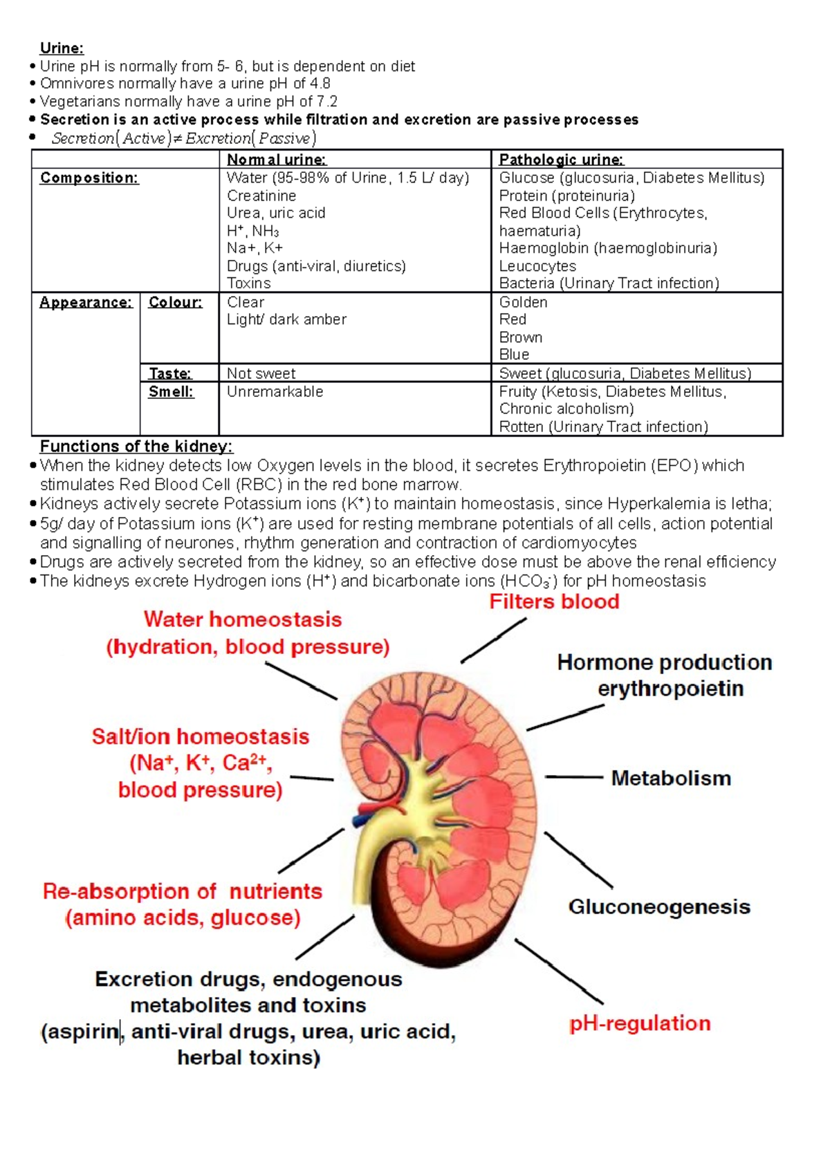 HUBS 192 - Lecture 35 (Urine composition, functions of the kidney, and ...
