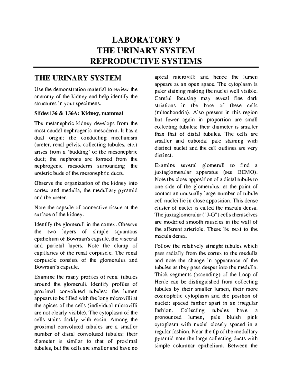 ZOO 3000 F24 Lab Manual - LAB 9 - LABORATORY 9 THE URINARY SYSTEM REPRODUCTIVE SYSTEMS THE ...