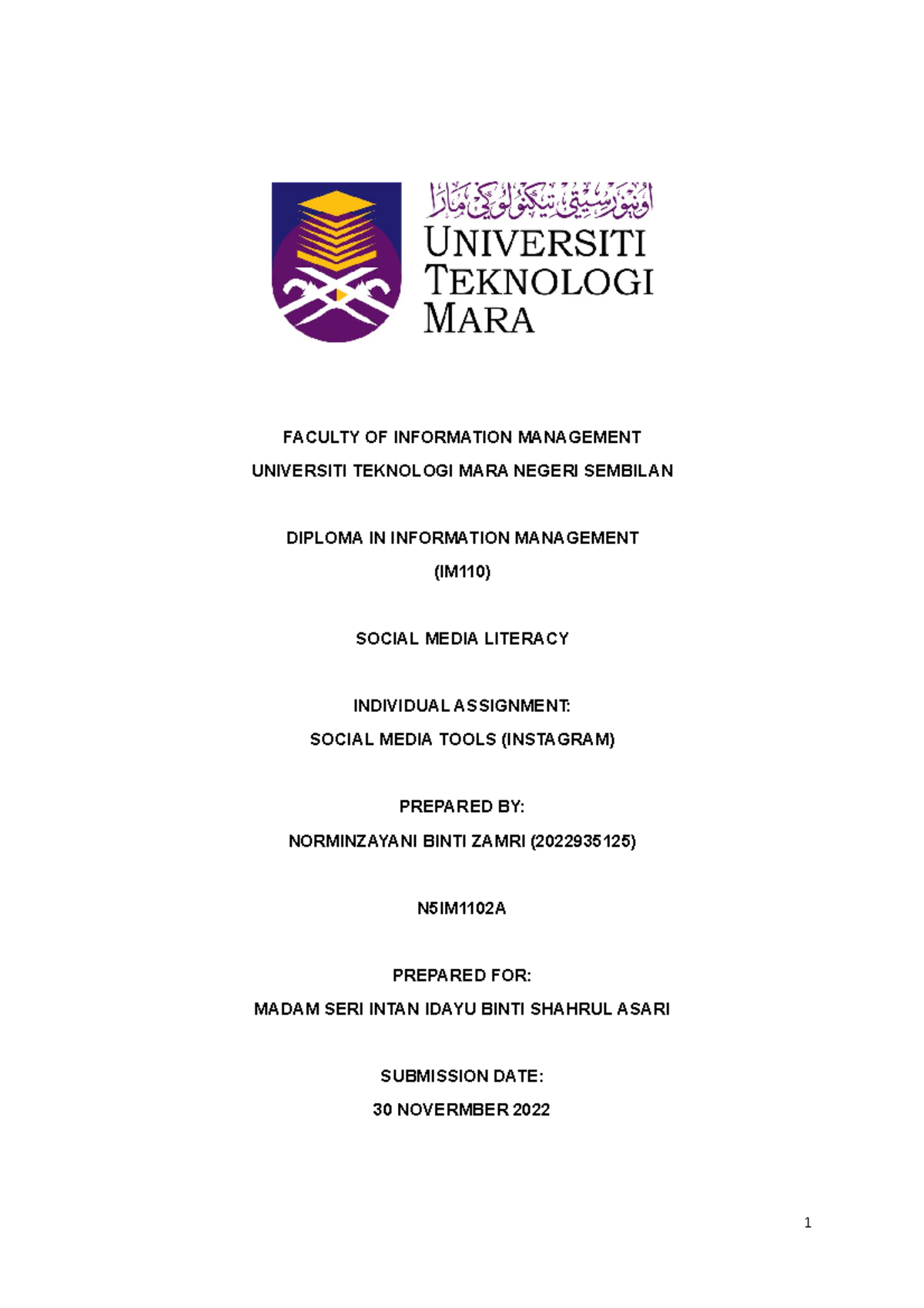 IMD164 Individual Assignment - FACULTY OF INFORMATION MANAGEMENT ...