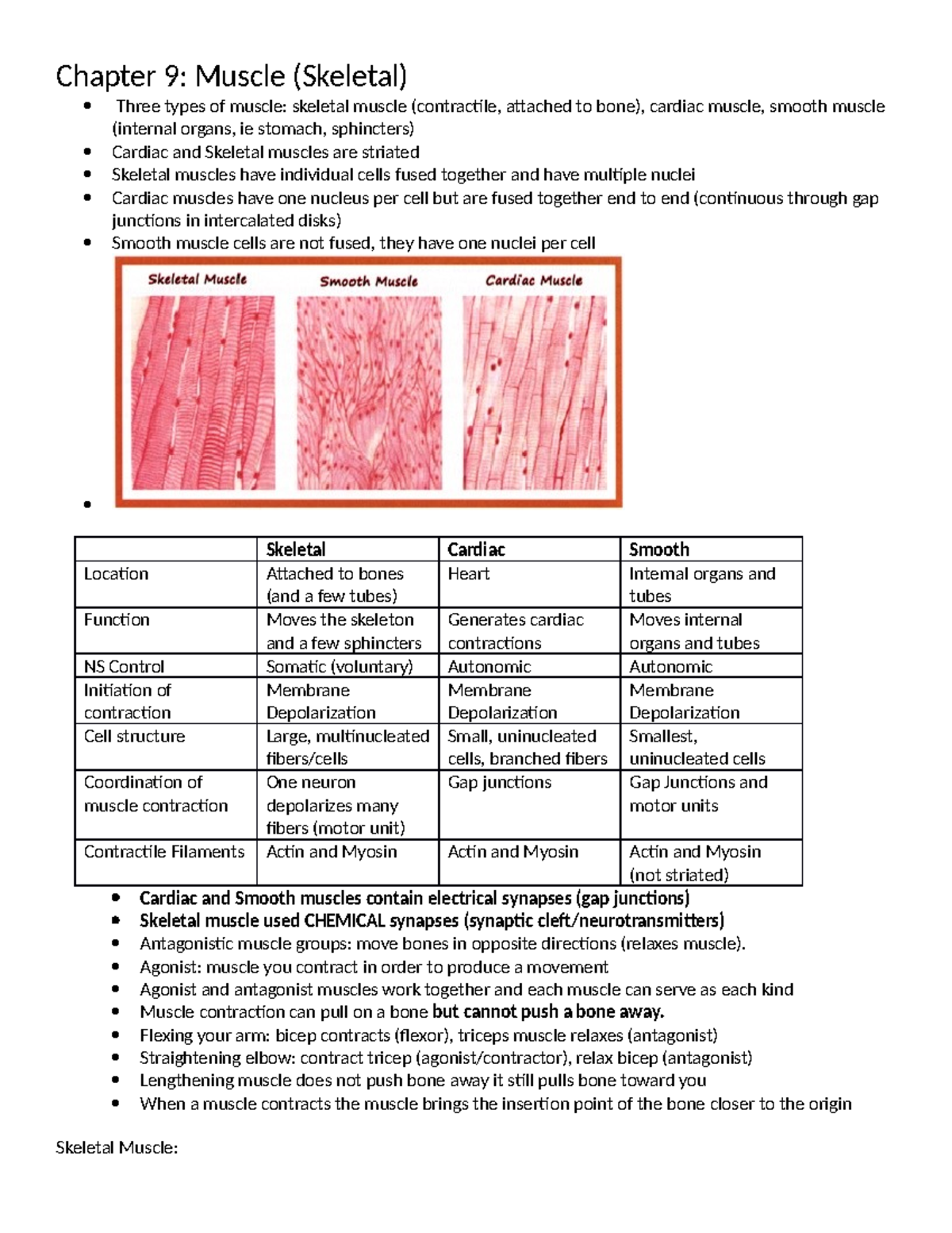 Bio 203 Midterm 2 Material - Chapter 9: Muscle (Skeletal) Three types ...