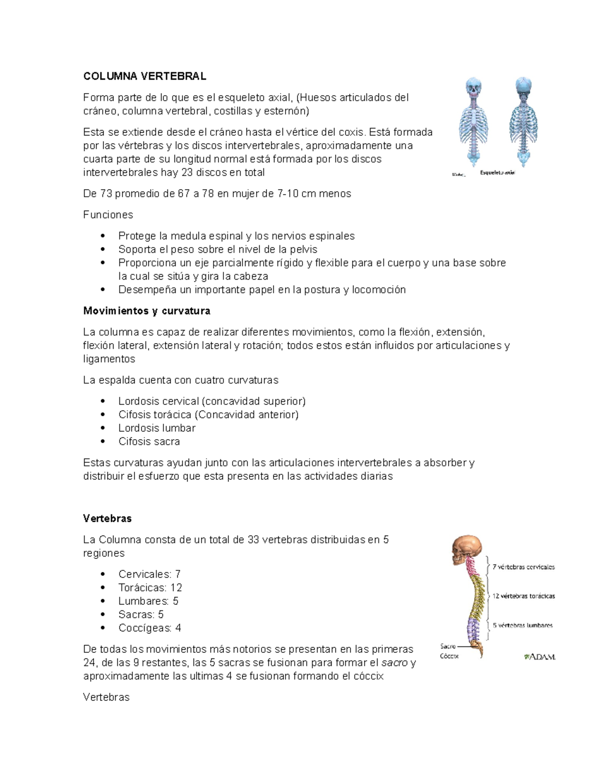 Columna Vertebral - COLUMNA VERTEBRAL Forma parte de lo que es el ...