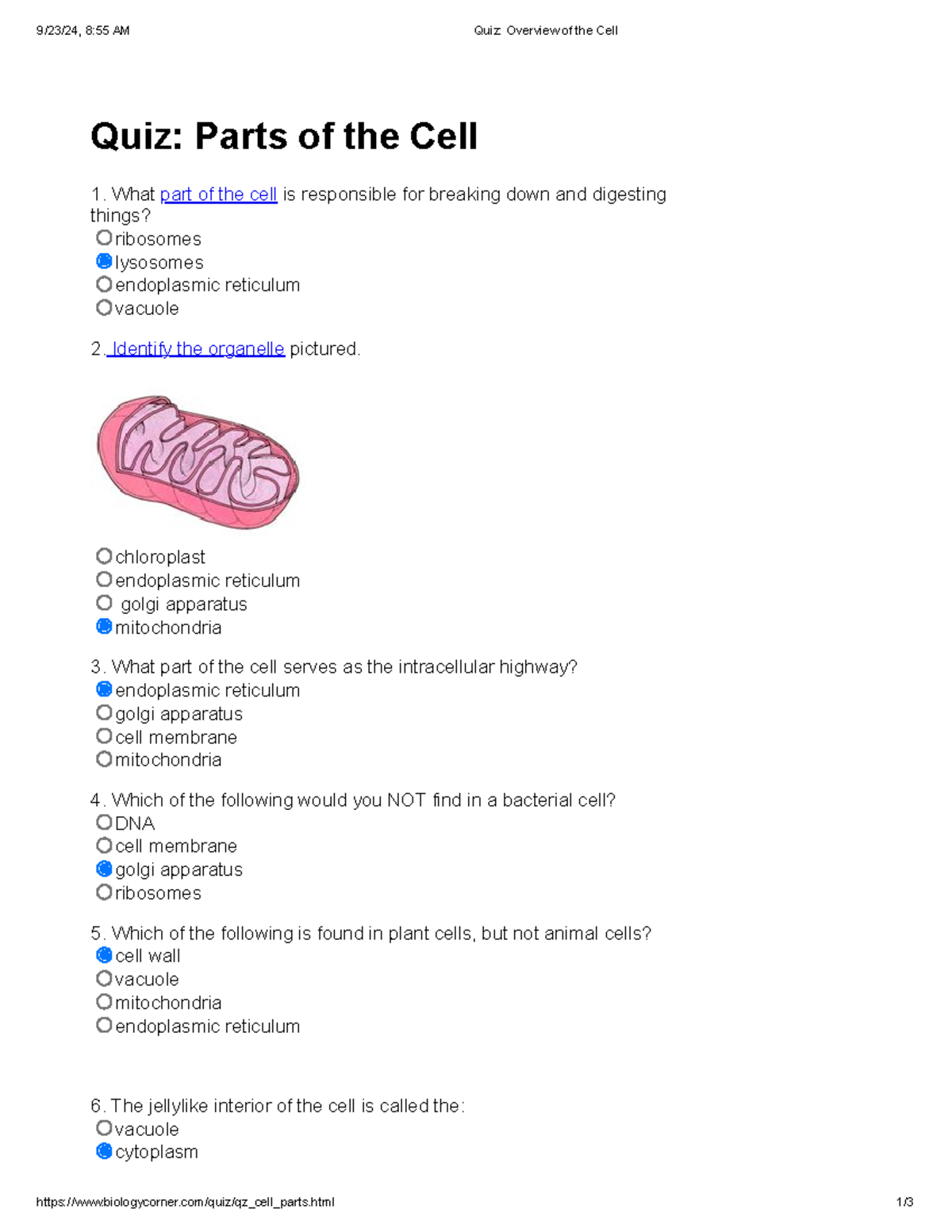 Quiz Overview of the Cell - Quiz: Parts of the Cell 1. What part of the ...