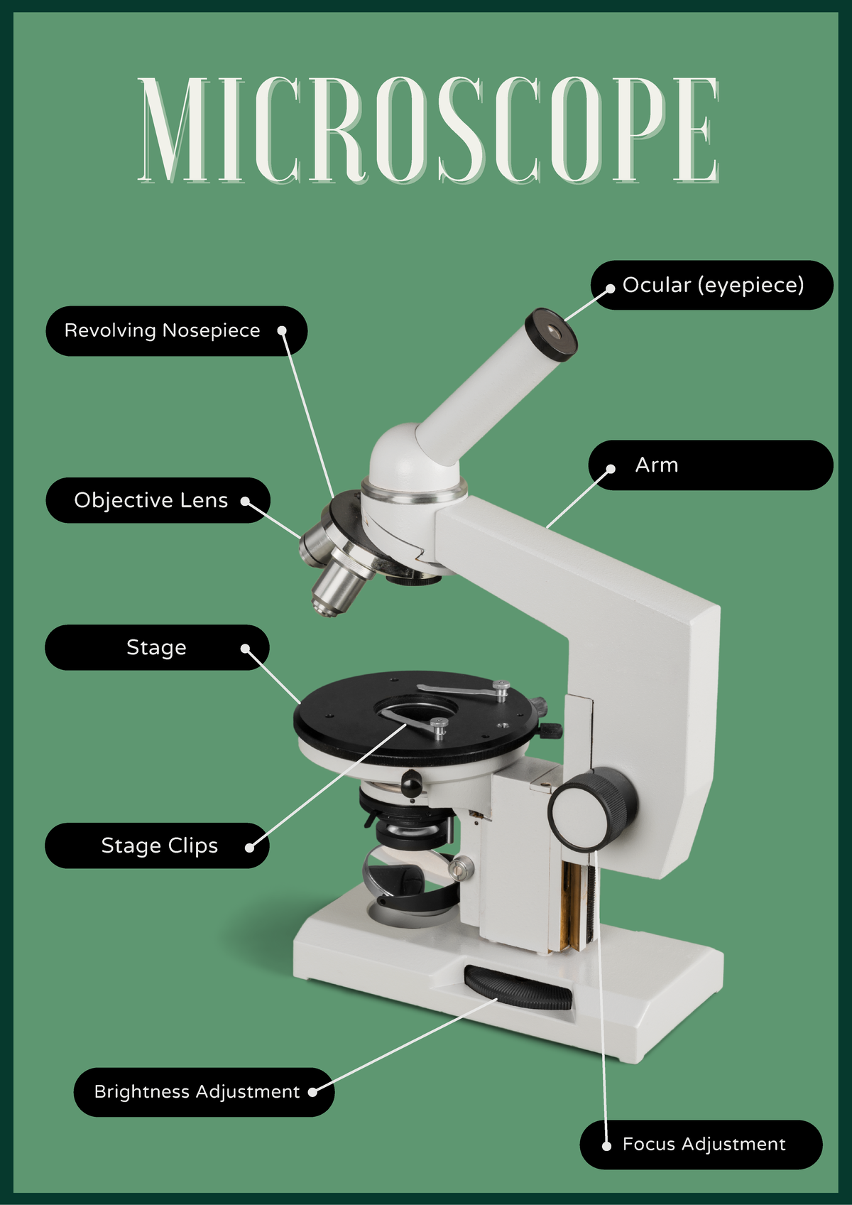 Microscope Notes MICROSCOPE Ocular eyepiece Revolving Nosepiece Arm