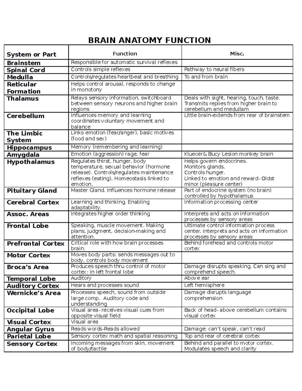 Brain Anatomy Function Sheet - BRAIN ANATOMY FUNCTION System or Part ...