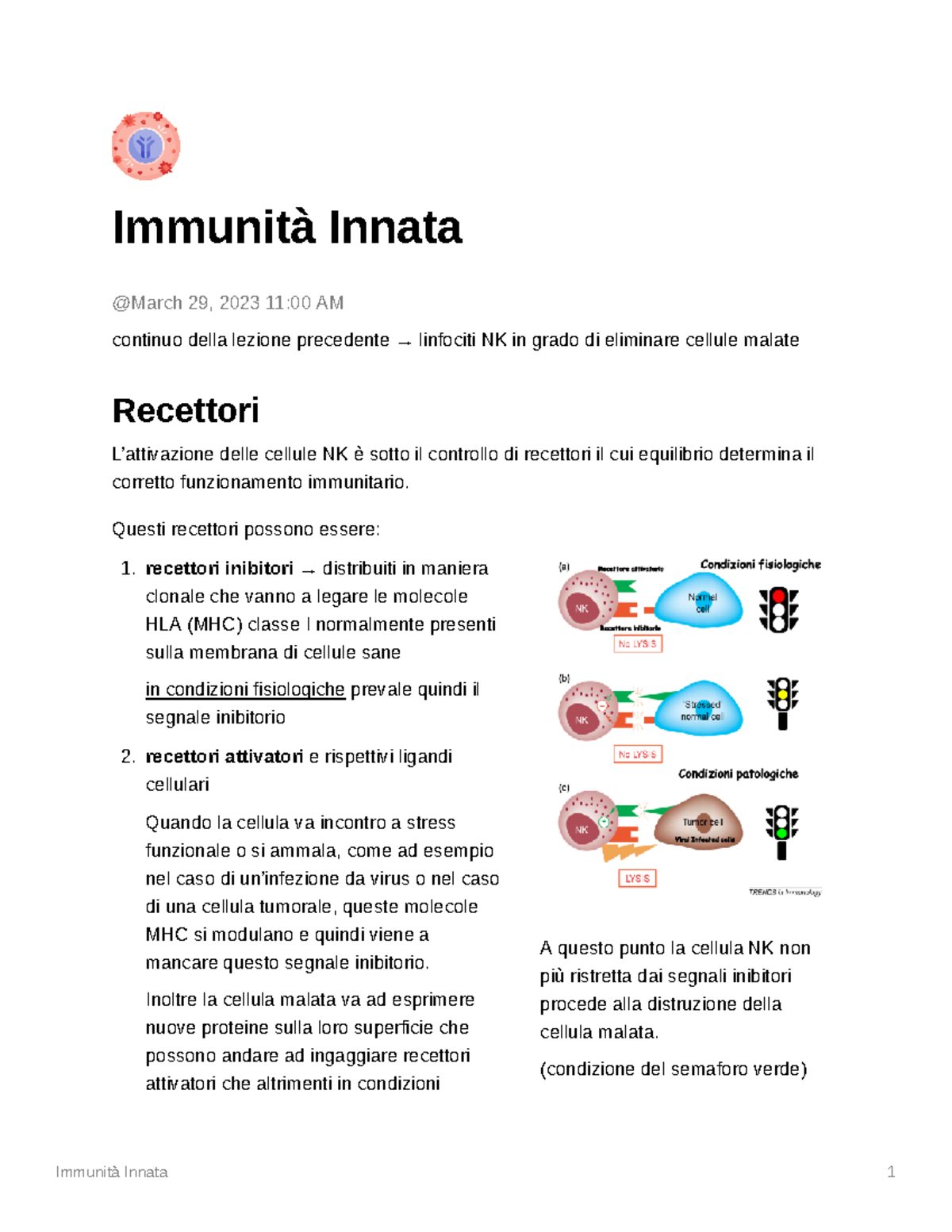 Immunità Innata 2903 - Appunti - Immunità Innata continuo della lezione ...