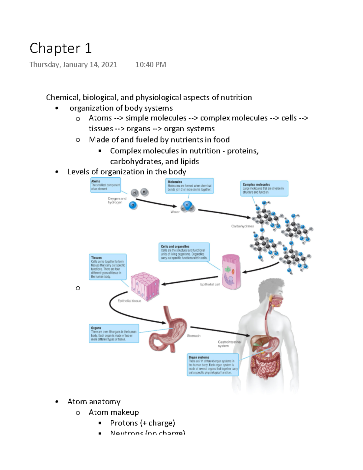 Chapter 1 - Spring 2022 - Chemical, biological, and physiological ...