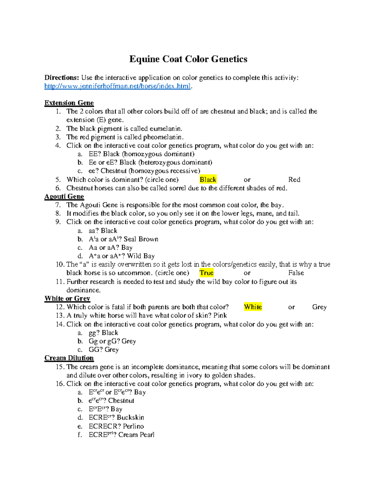 Equine Coat Color Genetics Activity[ 9229] - Equine Coat Color Genetics ...