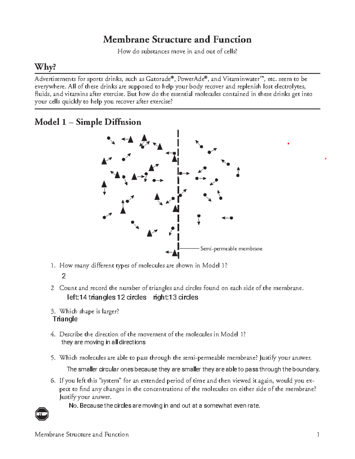 Kami Export - Colton Ludin - Cell Membrane Pogil - Membrane Structure ...