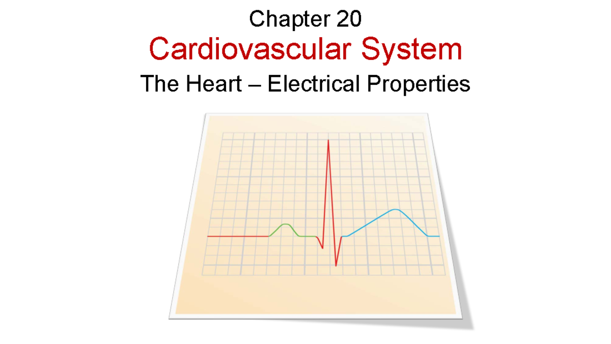 3 - Heart - Electrical Properties 1 - Chapter 20 ####### Cardiovascular ...