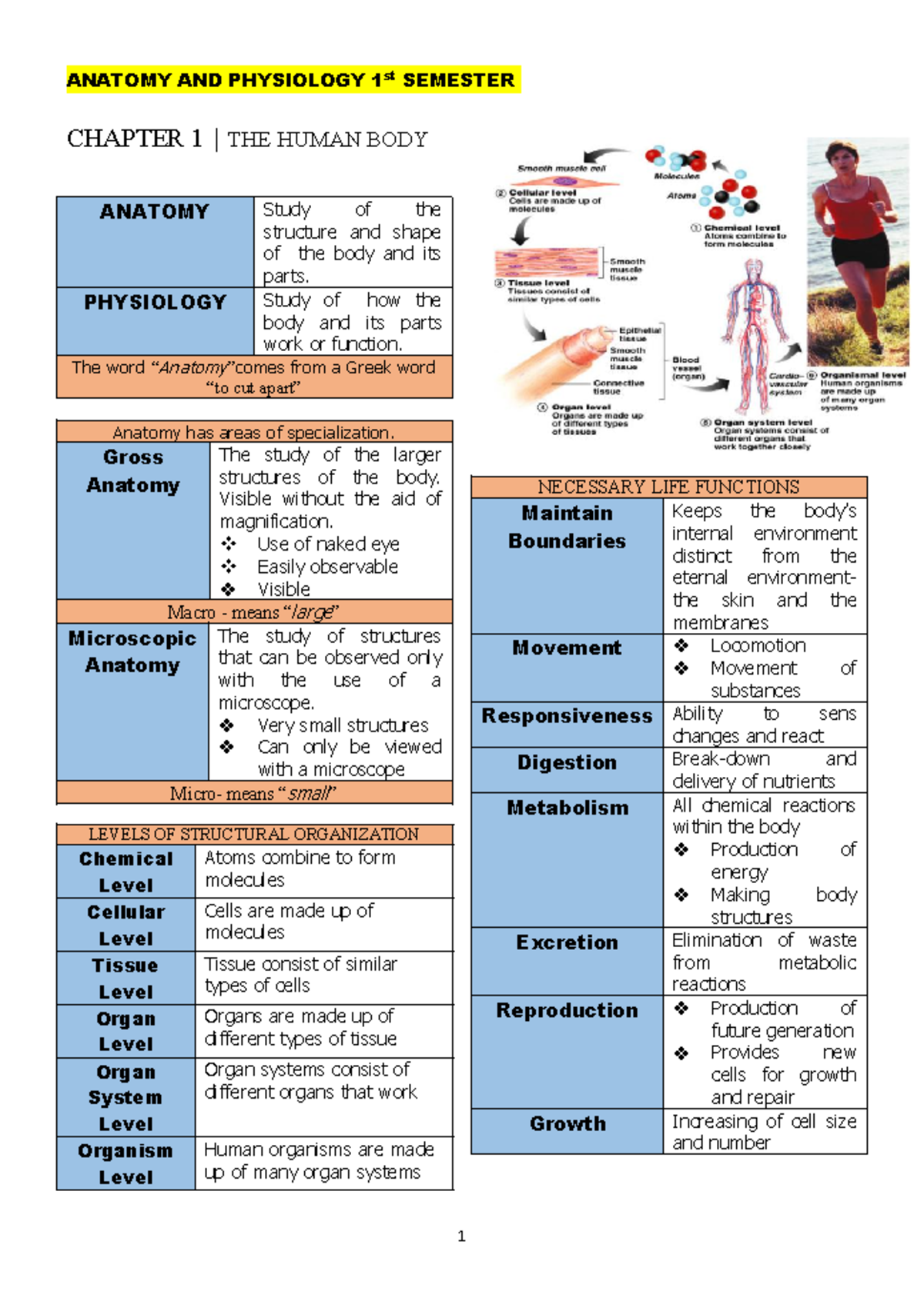 Anaphy Chapter 1 - NOTES - CHAPTER 1 | THE HUMAN BODY ANATOMY Study of ...