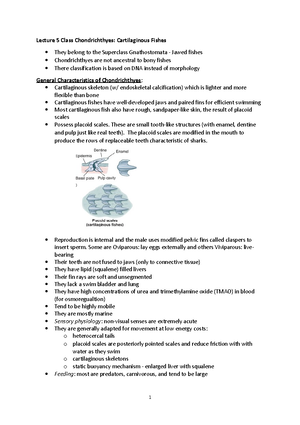 Phylum Porifera - Smart notes - PHYLUM-PORIFERA Objectives ...